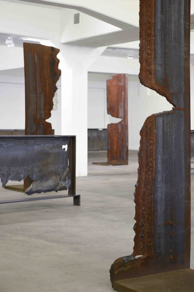 Alf Lechner. emotional rational